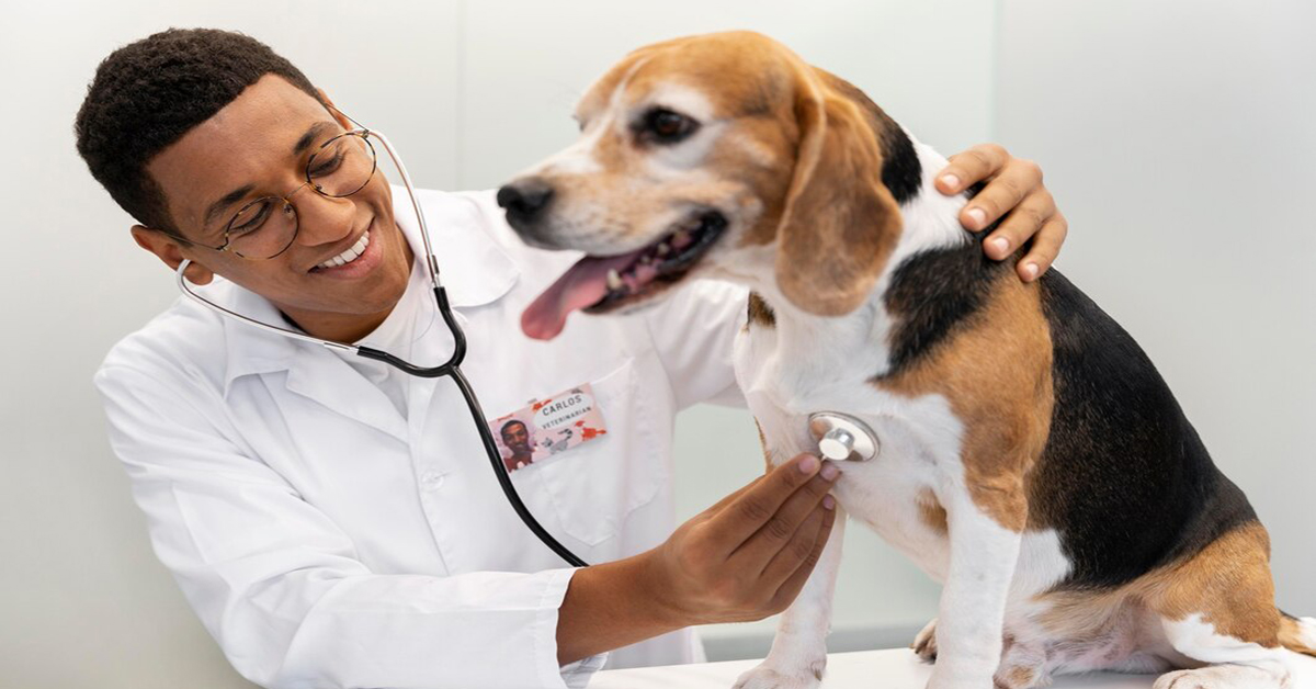 Pet Management & Care - CKC.INSTITUTE